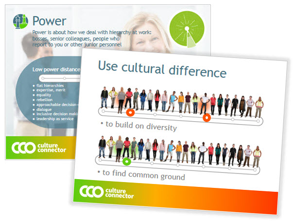 Twelve ways to make sense of cultural differences when training teams ...